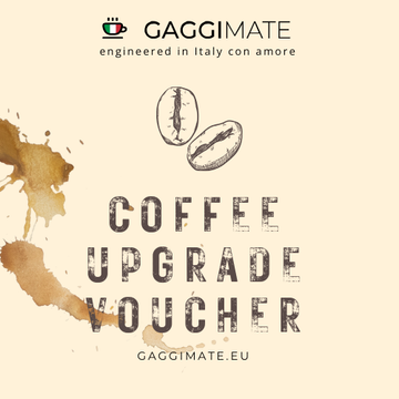 Products – GaggiMate